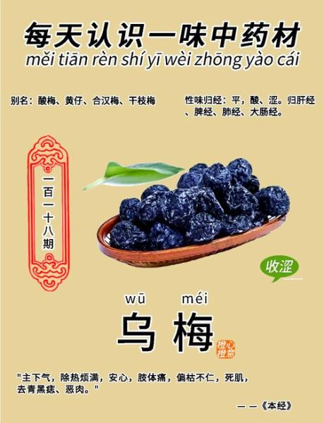 药用乌梅与零食乌梅的区别_如何挑选正宗药用乌梅-第3张图片-山城妙识