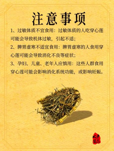 穿心莲生吃好还是熟吃好_功效差异与食用建议-第3张图片-山城妙识 穿心莲生吃好还是熟吃好_功效差异与食用建议-第3张图片-山城妙识