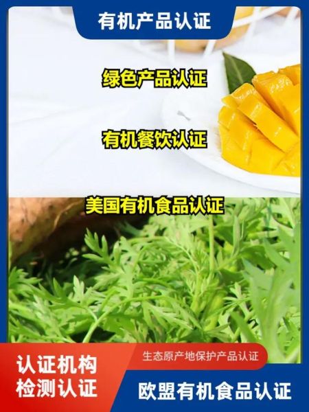 食品公司如何申请绿色食品认证_绿色食品认证流程多久-第2张图片-山城妙识 食品公司如何申请绿色食品认证_绿色食品认证流程多久-第2张图片-山城妙识