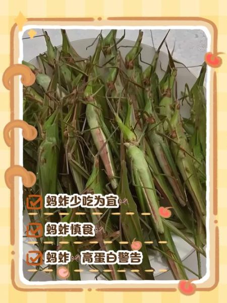 蚂蚱能吃吗_蚂蚱怎么吃才安全-第1张图片-山城妙识
