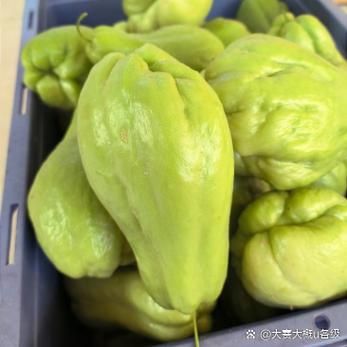 佛手瓜饺子馅怎么做_佛手瓜饺子馅的家常做法-第3张图片-山城妙识