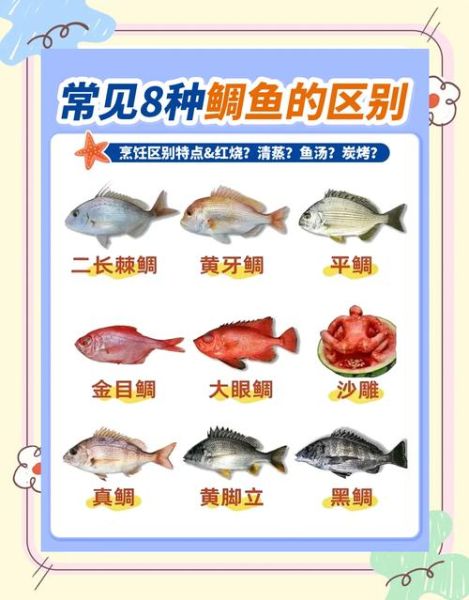 鲷鱼种类有哪些_如何区分常见鲷鱼-第1张图片-山城妙识 鲷鱼种类有哪些_如何区分常见鲷鱼-第1张图片-山城妙识