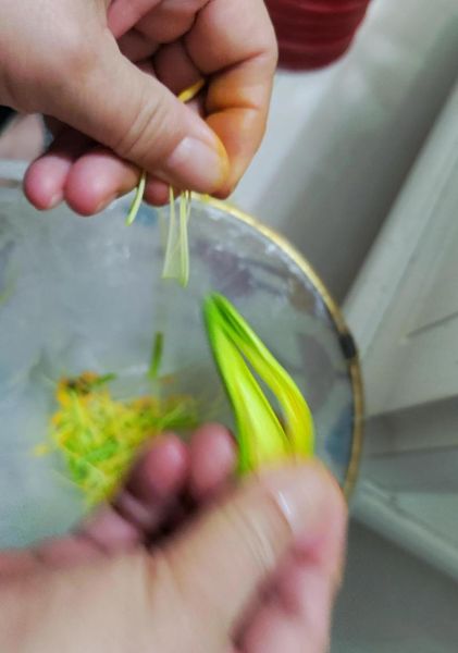 黄花菜的花蕊能吃吗_鲜黄花菜花蕊怎么处理-第1张图片-山城妙识