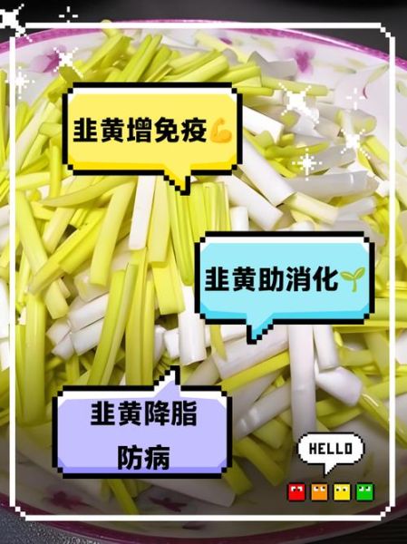 韭黄不能和什么一起吃_韭黄食用禁忌有哪些-第3张图片-山城妙识 韭黄不能和什么一起吃_韭黄食用禁忌有哪些-第3张图片-山城妙识