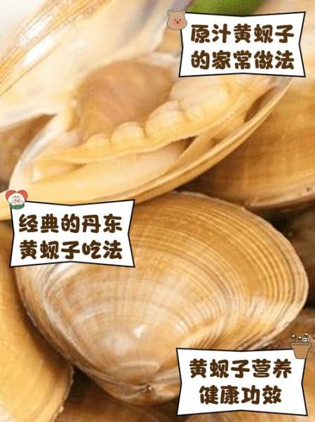 黄蚬子怎么清洗_黄蚬子蒸还是煮好吃-第1张图片-山城妙识 黄蚬子怎么清洗_黄蚬子蒸还是煮好吃-第1张图片-山城妙识