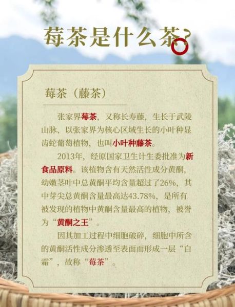 莓茶的功效与作用_莓茶哪些人不能喝-第2张图片-山城妙识 莓茶的功效与作用_莓茶哪些人不能喝-第2张图片-山城妙识