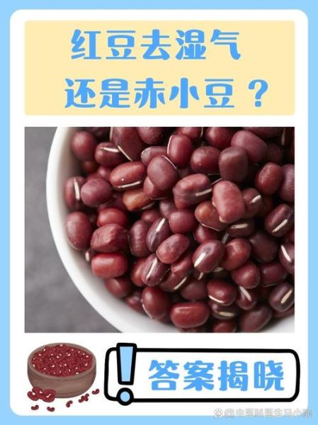 红豆好还是赤小豆好_哪个祛湿更给力-第1张图片-山城妙识 红豆好还是赤小豆好_哪个祛湿更给力-第1张图片-山城妙识