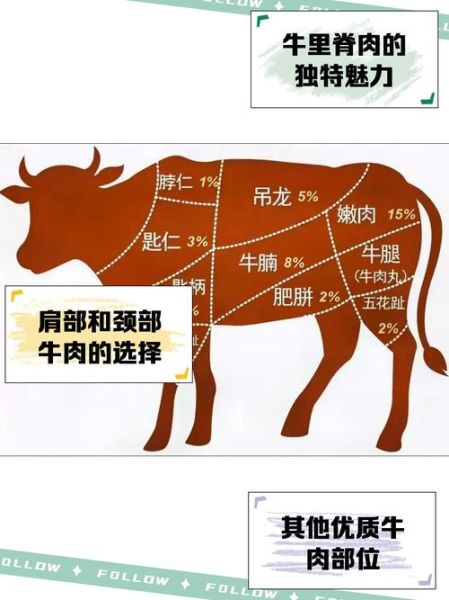 蚝油牛肉用哪个部位的牛肉好_牛里脊还是牛后腿-第3张图片-山城妙识
