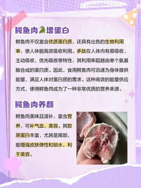 鳄鱼肉不能和什么一起吃_鳄鱼肉相克食物有哪些-第1张图片-山城妙识