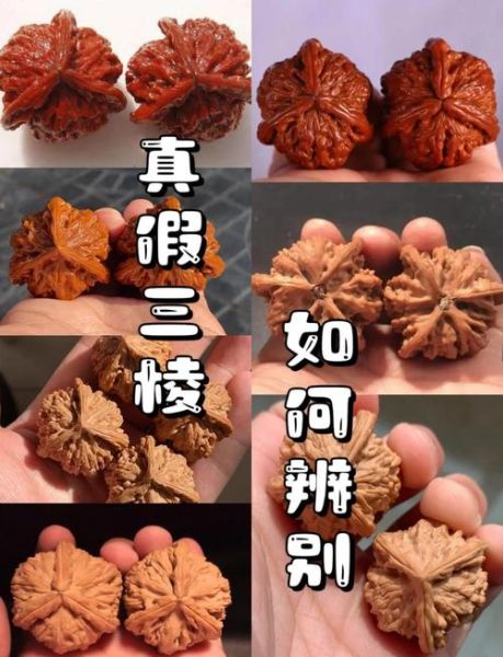 野生核桃图片_如何辨别真假-第1张图片-山城妙识