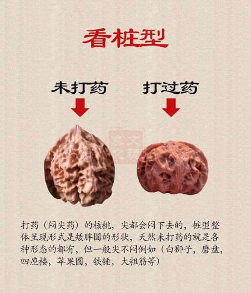 野生核桃图片_如何辨别真假-第2张图片-山城妙识