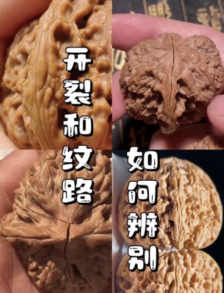 野生核桃图片_如何辨别真假-第3张图片-山城妙识