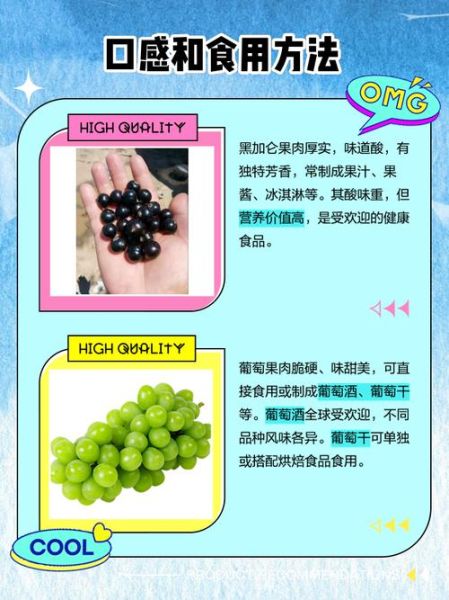 黑加仑和葡萄的区别_黑加仑是葡萄吗-第1张图片-山城妙识