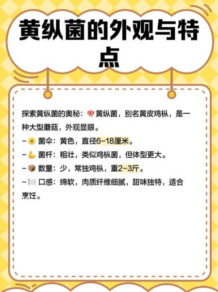 黄丝菌的功效与作用_黄丝菌怎么吃最好-第2张图片-山城妙识