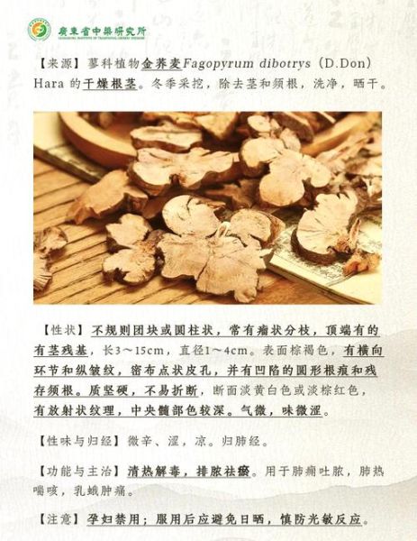 金荞麦根煮鸡蛋的功效_适合什么人吃-第1张图片-山城妙识