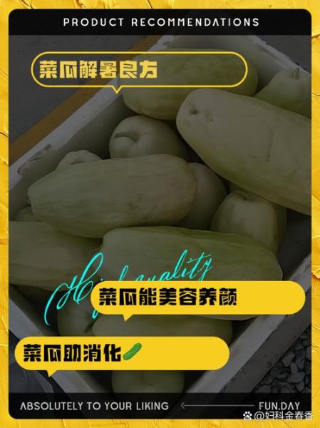 菜瓜怎么做好吃_菜瓜的功效与作用-第2张图片-山城妙识