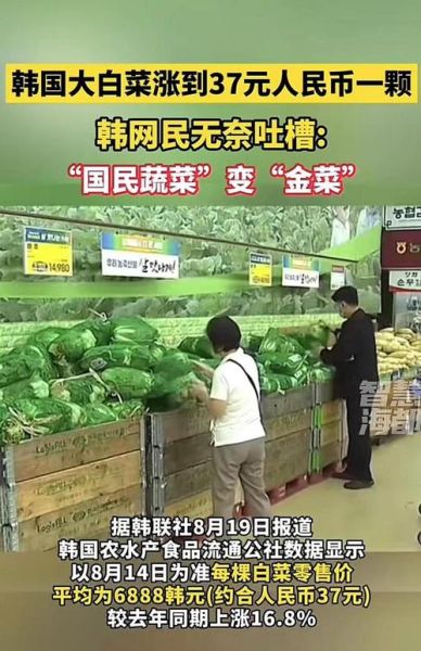 韩国菜价为什么暴涨_韩国蔬菜价格最新行情-第1张图片-山城妙识 韩国菜价为什么暴涨_韩国蔬菜价格最新行情-第1张图片-山城妙识