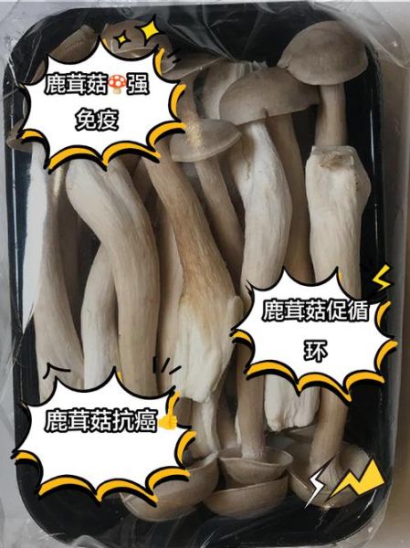 菇茑怎么吃_菇茑的营养价值-第1张图片-山城妙识 菇茑怎么吃_菇茑的营养价值-第1张图片-山城妙识