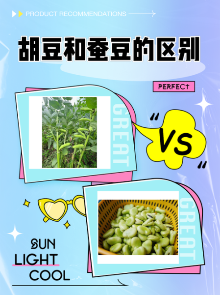 胡豆和蚕豆的区别_哪个更好吃-第1张图片-山城妙识 胡豆和蚕豆的区别_哪个更好吃-第1张图片-山城妙识