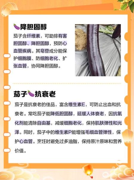 茄子热量是多少_减肥能吃茄子吗-第1张图片-山城妙识