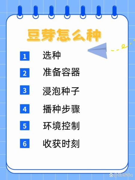 豆芽怎么种植_家庭无土栽培豆芽步骤-第3张图片-山城妙识