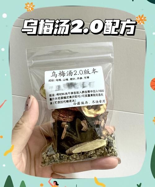 张仲景乌梅汤配方_乌梅汤怎么熬-第3张图片-山城妙识