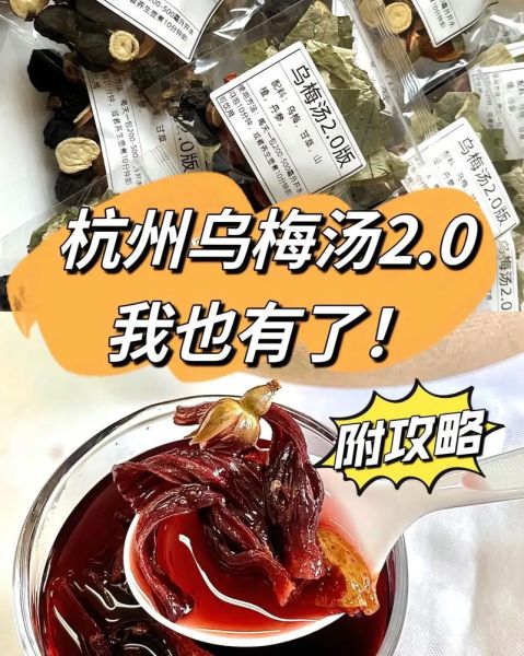 张仲景乌梅汤配方_乌梅汤怎么熬-第2张图片-山城妙识