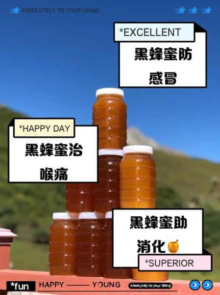 黑蜂蜜的作用与功效_黑蜂蜜怎么吃效果最好-第1张图片-山城妙识 黑蜂蜜的作用与功效_黑蜂蜜怎么吃效果最好-第1张图片-山城妙识