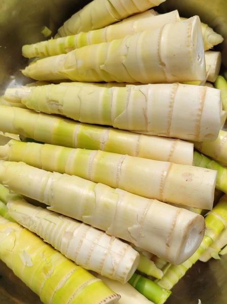 鲜竹笋的功效与作用_鲜竹笋怎么吃最健康-第3张图片-山城妙识 鲜竹笋的功效与作用_鲜竹笋怎么吃最健康-第3张图片-山城妙识