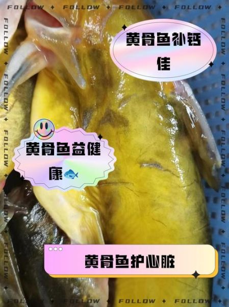 黄骨鱼营养价值高吗_黄骨鱼的功效与作用-第2张图片-山城妙识 黄骨鱼营养价值高吗_黄骨鱼的功效与作用-第2张图片-山城妙识