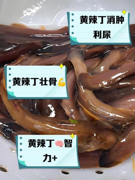 黄辣丁什么人禁吃_孕妇能吃吗-第2张图片-山城妙识 黄辣丁什么人禁吃_孕妇能吃吗-第2张图片-山城妙识