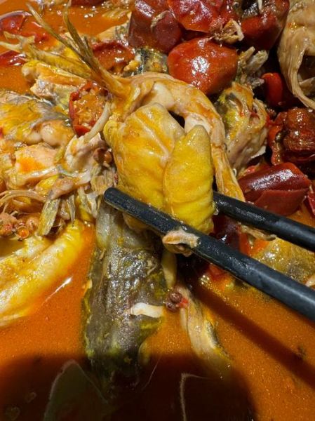 黄辣丁什么人禁吃_孕妇能吃吗-第3张图片-山城妙识 黄辣丁什么人禁吃_孕妇能吃吗-第3张图片-山城妙识