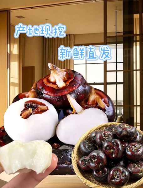 马蹄果别名叫什么_马蹄果和荸荠是同一种吗-第3张图片-山城妙识