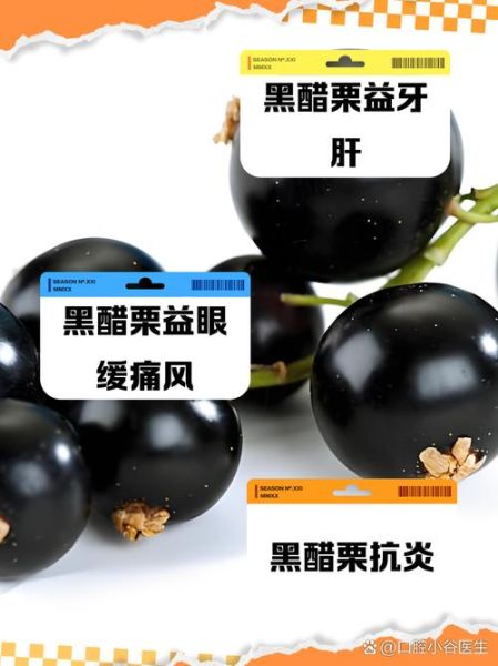 黑醋栗油的功效与作用_黑醋栗油怎么吃-第1张图片-山城妙识