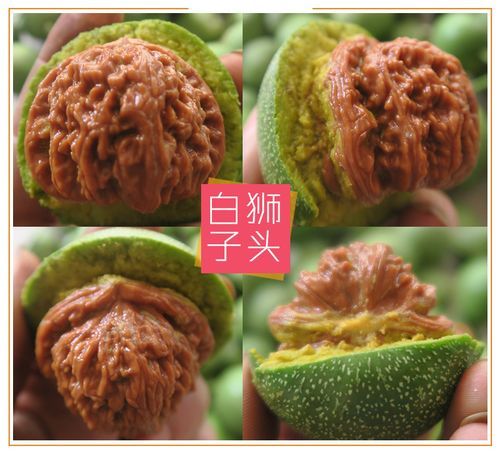 麒麟纹狮子头怎么盘_麒麟纹狮子头价格多少钱-第3张图片-山城妙识