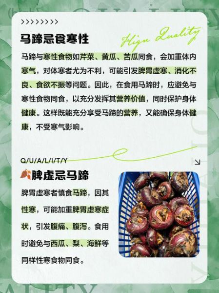 马蹄的功效与作用_马蹄的禁忌有哪些-第1张图片-山城妙识
