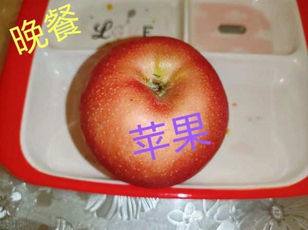 蒸蛋器可以蒸红薯吗_蒸红薯要多长时间-第1张图片-山城妙识 蒸蛋器可以蒸红薯吗_蒸红薯要多长时间-第1张图片-山城妙识