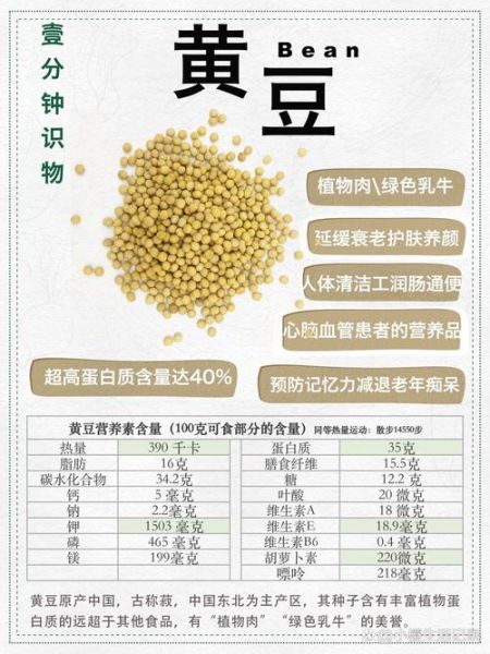 黄豆蛋白质含量多少_黄豆营养价值高吗-第1张图片-山城妙识