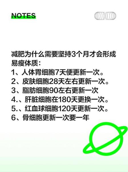 胖人怎么变成易瘦体质_易瘦体质如何养成-第1张图片-山城妙识