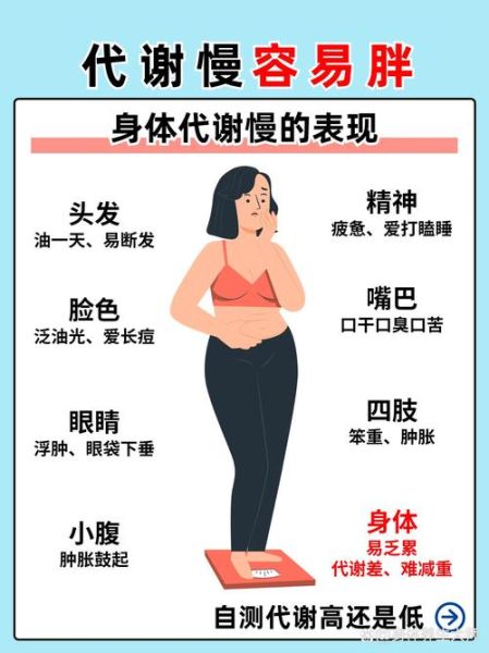 胖人怎么变成易瘦体质_易瘦体质如何养成-第3张图片-山城妙识