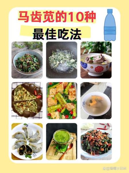 苋菜怎么吃_苋菜的做法大全-第3张图片-山城妙识