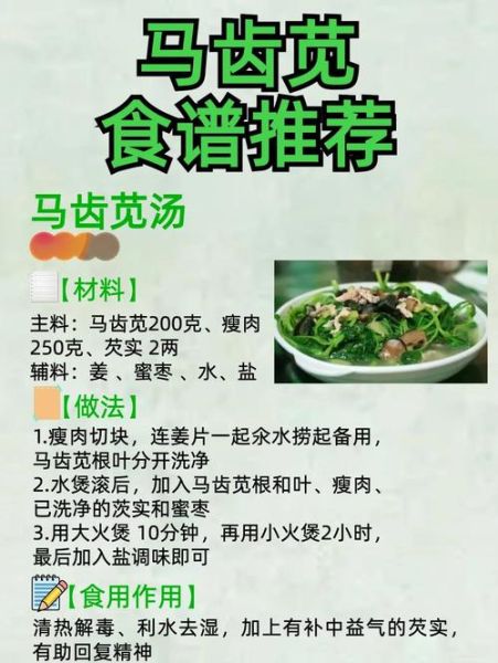 马齿菜的功效与作用_马齿菜怎么吃最好-第1张图片-山城妙识