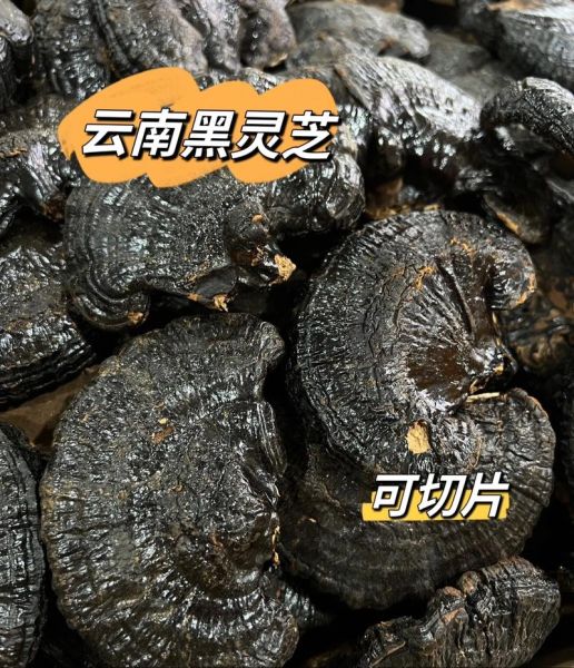 黑灵芝的功效与作用_黑灵芝图片怎么辨别真假-第3张图片-山城妙识 黑灵芝的功效与作用_黑灵芝图片怎么辨别真假-第3张图片-山城妙识