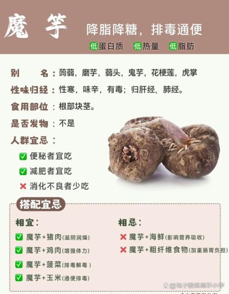 魔芋减肥真的有用吗_魔芋减肥怎么吃-第1张图片-山城妙识 魔芋减肥真的有用吗_魔芋减肥怎么吃-第1张图片-山城妙识