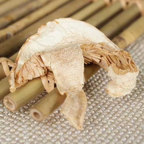 黑松茸的功效与作用_黑松茸怎么吃效果最好-第2张图片-山城妙识