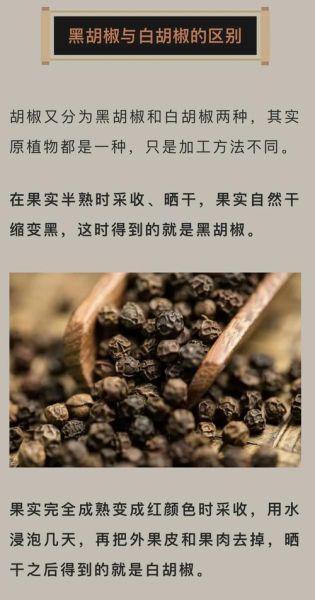 黑胡椒的功效与作用_黑胡椒的禁忌有哪些-第2张图片-山城妙识