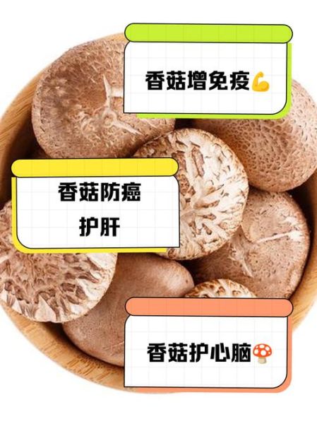 香菇的功效与禁忌_什么人不能吃香菇-第3张图片-山城妙识 香菇的功效与禁忌_什么人不能吃香菇-第3张图片-山城妙识
