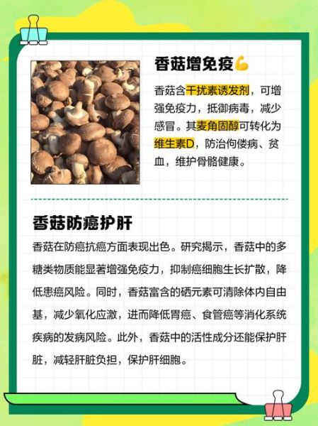 香菇的功效与禁忌_什么人不能吃香菇-第2张图片-山城妙识 香菇的功效与禁忌_什么人不能吃香菇-第2张图片-山城妙识