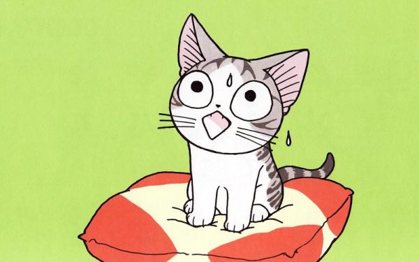 起司猫图片哪里找_起司猫壁纸高清下载-第3张图片-山城妙识 起司猫图片哪里找_起司猫壁纸高清下载-第3张图片-山城妙识