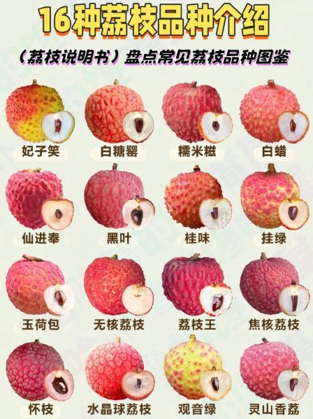 荔枝最好吃的品种有哪些_如何挑选顶级荔枝-第1张图片-山城妙识 荔枝最好吃的品种有哪些_如何挑选顶级荔枝-第1张图片-山城妙识